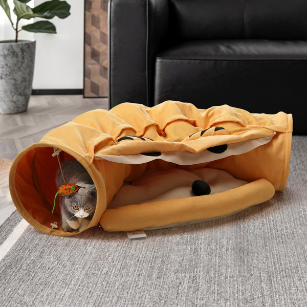 Kitty Tube Wayfair